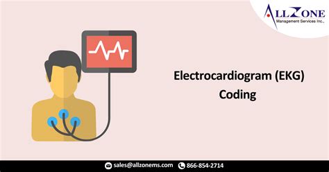 Coding Guidelines For Electrocardiograms Ekgs
