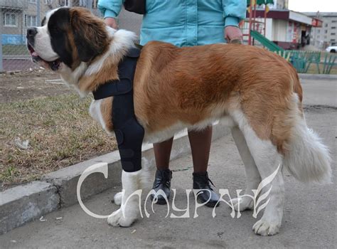 Kraskovia 🌺С приходом весны у людей часто возникает желание что то изменить в своей жизни Кто