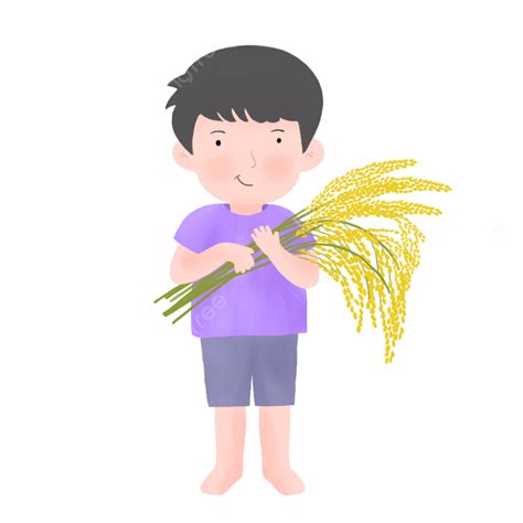 미스 카 투스 태양 용어 농작물 벼 Png 일러스트 및 Psd 이미지 무료 다운로드 Pngtree