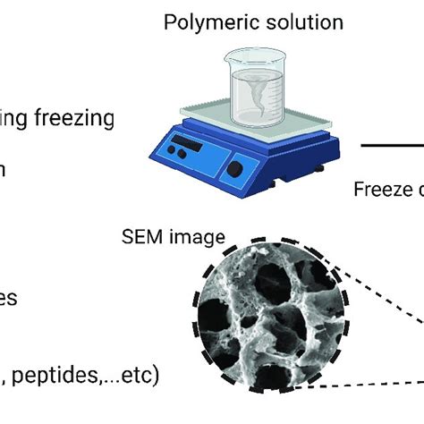 The Gas Foaming Technique And Its Processing Parameters The Image Was Download Scientific