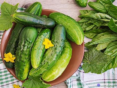 Өргөст хэмхийн ач тус