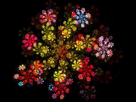 2000 Обої на робочий стіл Квіти Скачати Безкоштовно шпалери