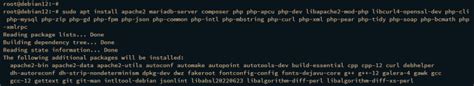 cómo instalar drupal cms con apache en debian 12 howtoforge