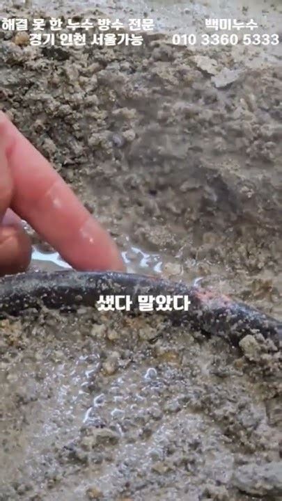 💧동 파이프 난방관 미세 누수 💦 누수 방수 누수탐지 아파트누수 빌라누수 가스탐지기 Youtube