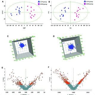 OPLS DA Score Plot 3D Loading Plot And VIP Plot Obtained From CON And
