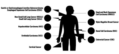 Cofactor Genomics The Leaders In RNA Seq