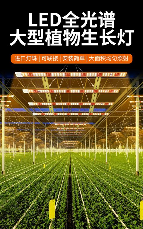 110v全光譜植物生長燈led量子板專業植物補光燈大功率800w溫室帳篷蔬菜花卉水果種子樹苗多肉培育照明太陽光植物水培燈 蝦皮購物