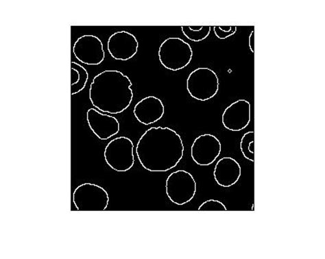 Matlab Find Outer Edges Of Objects In A Picture Stack Overflow