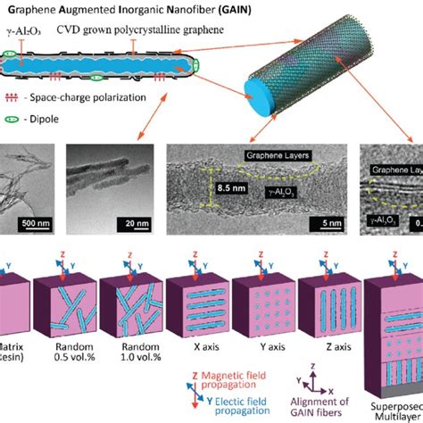 A Schematic Representation Of Gain Fibers B Hrtem Micrographs Of Download Scientific