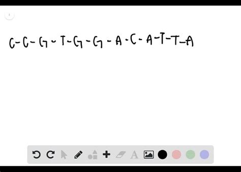 Solved You Have A Dna Strand With The Following Linear Sequence Of