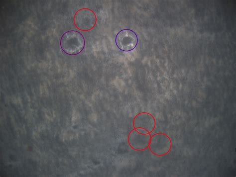 All Terrain Deformation Candidates Are Show In A Circle This Is The Download Scientific
