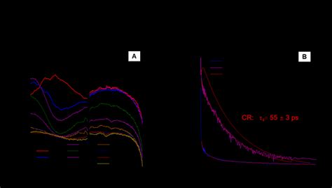 Figure S8 Transient Absorption Spectra And Spectral Relaxation Of Download Scientific Diagram