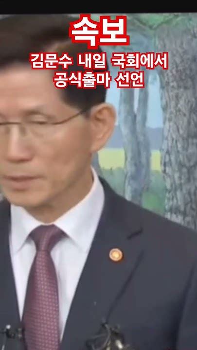 [속보] 김문수 내일 국회서 공식출마 선언 Youtube
