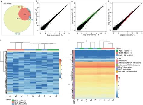 An Electrogenetic Interface To Program Mammalian Gene Expression By Direct Current Pmc