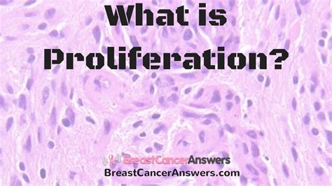 What Is Proliferation Youtube