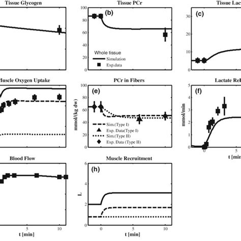 Simulated Dynamics And Experimental Data For Intracellular Species