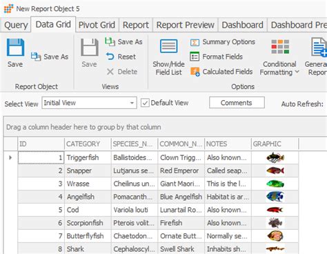 Freshdesk Dbxtra Odbc Connection Driver Download Connector For
