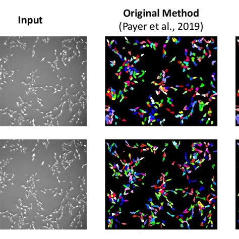 this figure shows the qualitative results of dense object segmentation