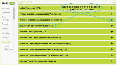 report pages intermine user documentation