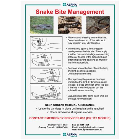 Snake Bite First Aid Snakebite First Aid Treatment And Precautions