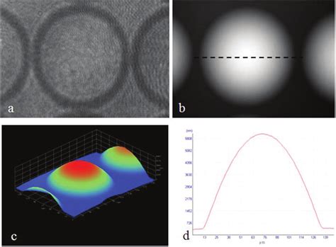 Micro Lens Array Measurement A Digital Hologram B Unwrapped Phase