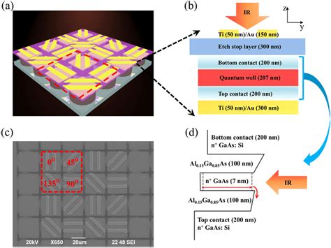 Schematic View Of The Super Pixel Of Pmc Qwip A 3d Schematic Diagram Download Scientific