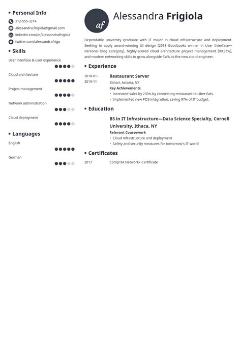 Entry Level CV Examples Template Tips For Beginners