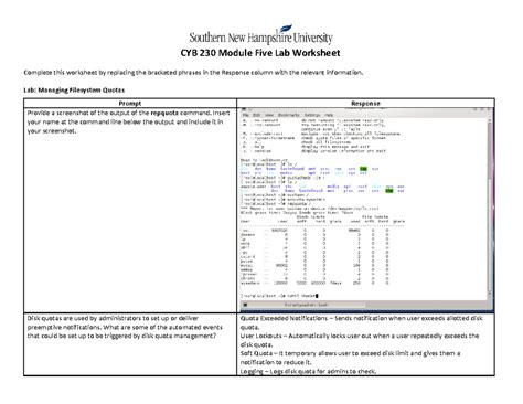 cyb 230 module five lab worksheet cyb 230 module five lab worksheet