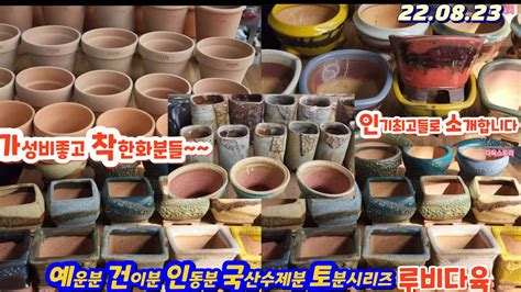 20220823루비다육화분인기최고화분토분재입고건이분예운분인동분소중한다육아가들 예쁜옷으로 갈아입혀주세요택배010 5895 1110 Youtube
