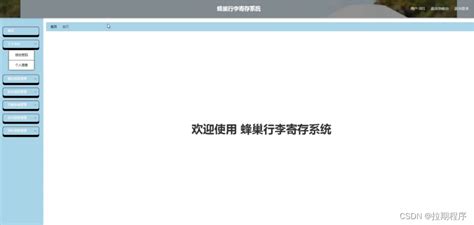 Javaphpnodejspython蜂巢行李寄存系统【2024年毕设】 Csdn博客