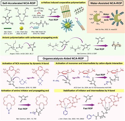 Catal Launches With Visionary Work On Accelerated Polypeptide