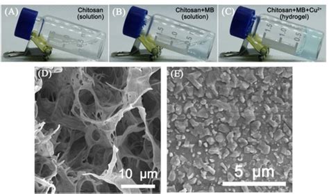 One‐step Synthesis Of Chitosan Hydrogel As Electrochemical Chemosensor For Hydrogen Sulfide