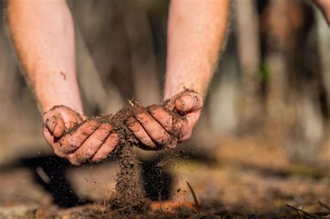 Premium Photo Farmer Collecting Soil Samples In A Test Tube In A
