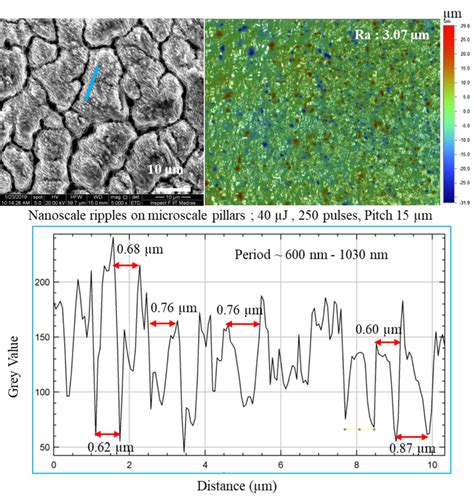 multiscale hierarchical surface structures at 15 μm hatch pitch with 40