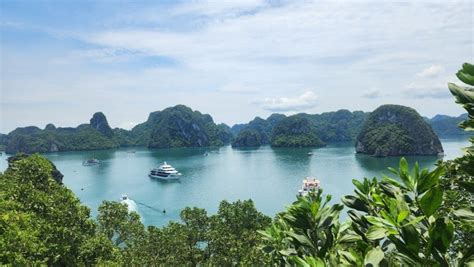해군 장교 되는 법 총정리｜사관학교·rotc·학사장교 지원방법