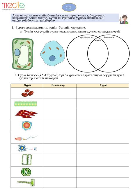 Worksheetstudent200002440654745