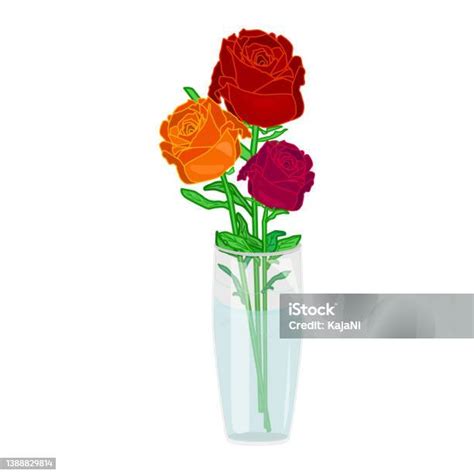흰색 배경에 고립 된 장미와 유리 꽃병 물이 있는 유리 그릇에 빨간 장미 꽃다발 꽃병에 대한 스톡 벡터 아트 및 기타 이미지 꽃병 장미 3가지 개체 Istock