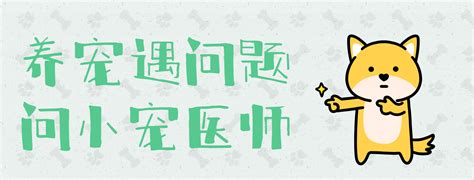 狗狗突然呕吐怎么办小宠医师帮你解决狗狗呕吐 肠胃 问题 检查