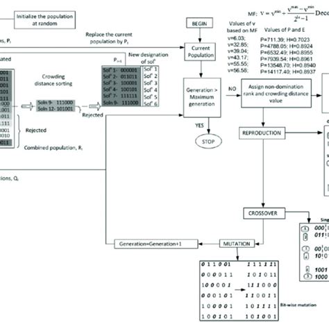 schematic representation of binary coded nsga ii for a two objective