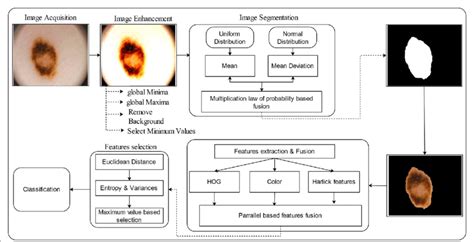 Class Model Diagram For Cancer Detection