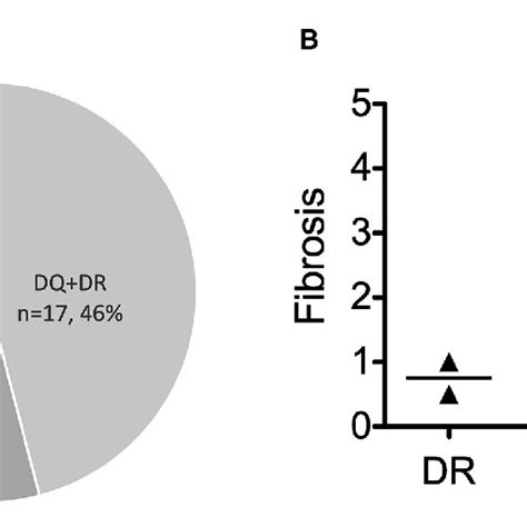The Type Of Post Transplant DSA A The Frequencies Of Types Of Download Scientific Diagram
