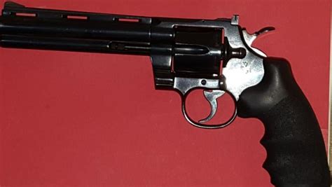 Python Finish Colt Forum