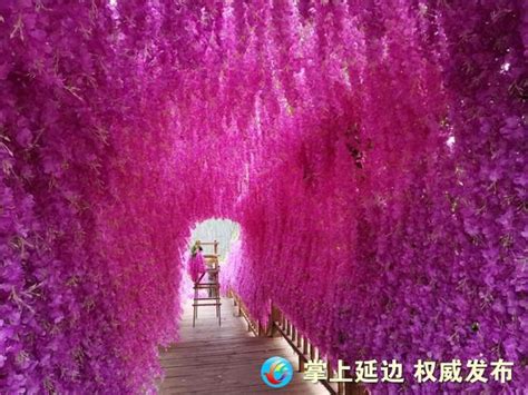 新開業疊加「五一」小長假 裕龍灣成網紅景點 每日頭條