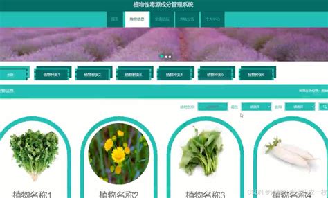 Springbootvuejava植物园信息管理系统 Csdn博客