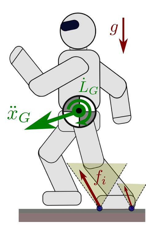 newton euler equations in humanoid robotics physics