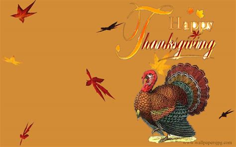 Thanksgiving Turkey Wallpaper Backgrounds