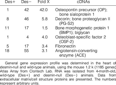 Induction Of Fibrosis And Calcification Are Linked In The Heart Of