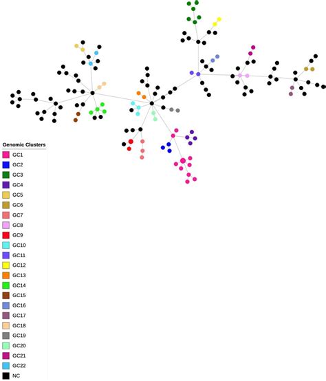 minimum spanning tree mst of the 151 m tb clinical isolates included