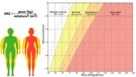 Calculadora Imc Índice De Masa Corporal Fórmula